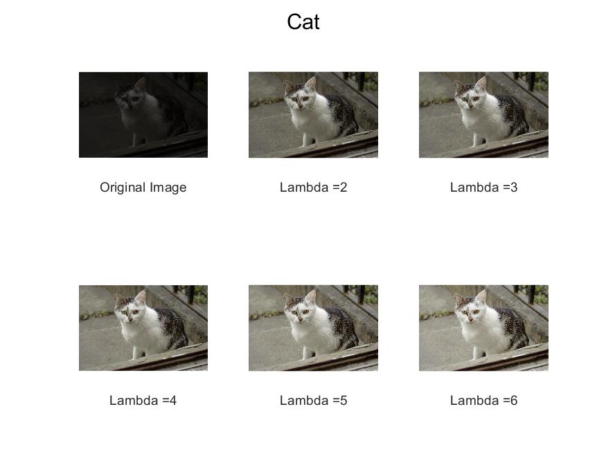 Nighttime Image Enhancement Using A New Illumination Boost Algorithm 8604
